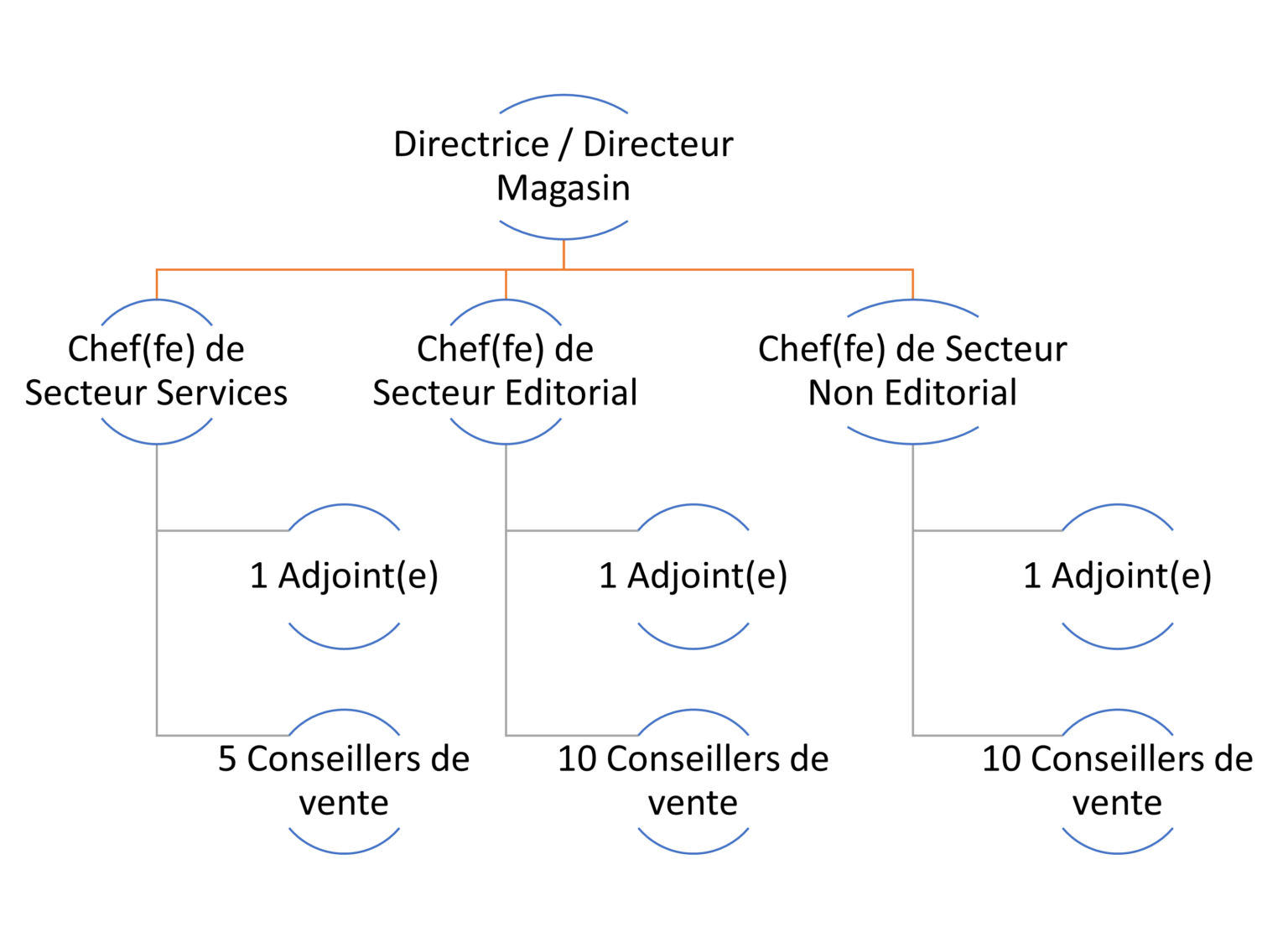 Directrice / Directeur de magasin – Cultura